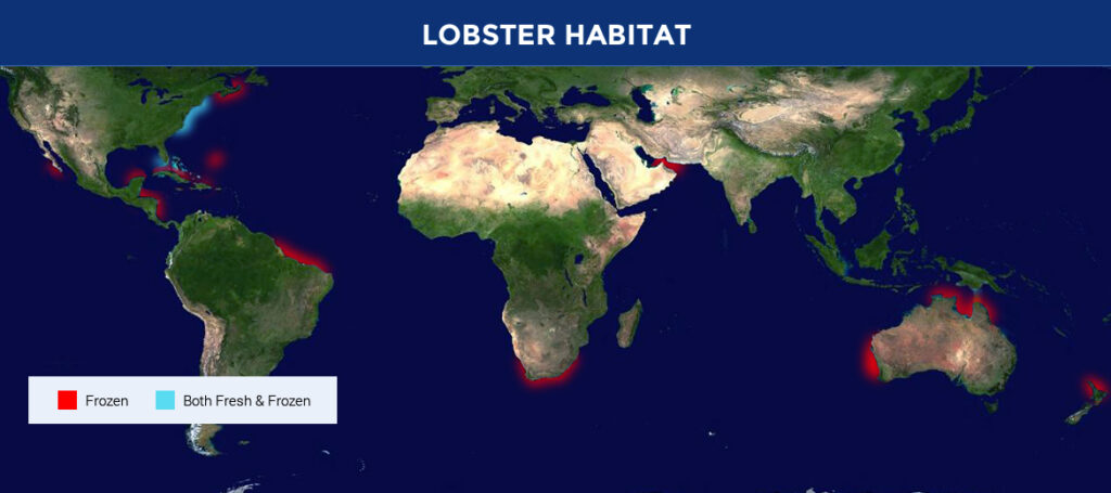 Lobster – Seafood Products Offered By Beacon Fisheries